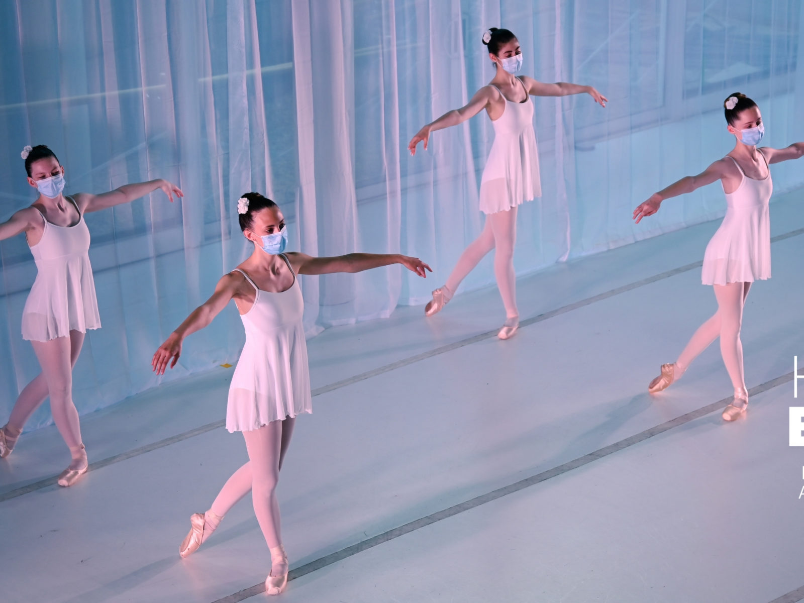 New Haven Ballet - Connecticut