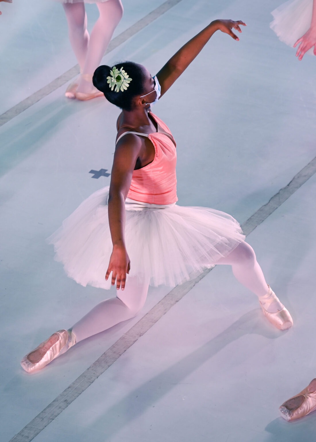 Main Gallery | New Haven Ballet - Connecticut
