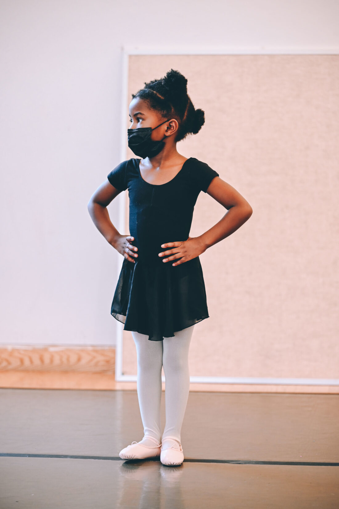 Main Gallery | New Haven Ballet - Connecticut