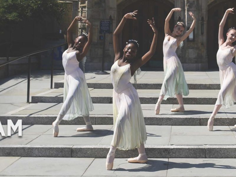 NEW HAVEN BALLET COMPANY | New Haven Ballet - Connecticut